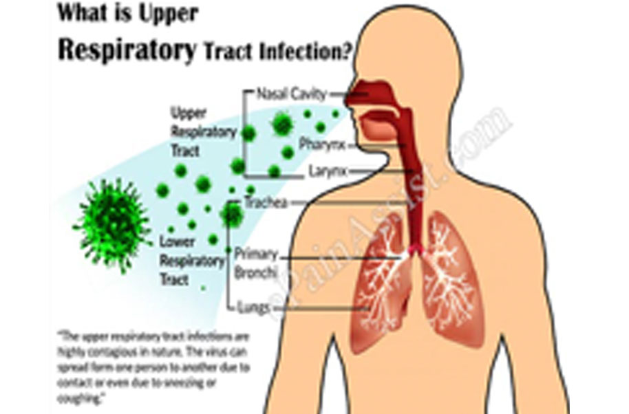Uri Upper Respiratory Infection 
